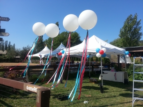 balloon studio portfolio | balloon gallery | JC Balloon Studio