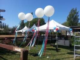 balloon studio portfolio | balloon gallery | JC Balloon Studio